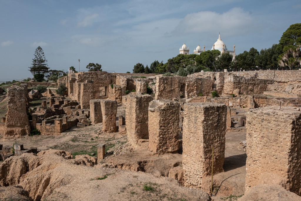 Tunis, Tunisia: Ancient city, new democracy – Food, Fork and Footpaths